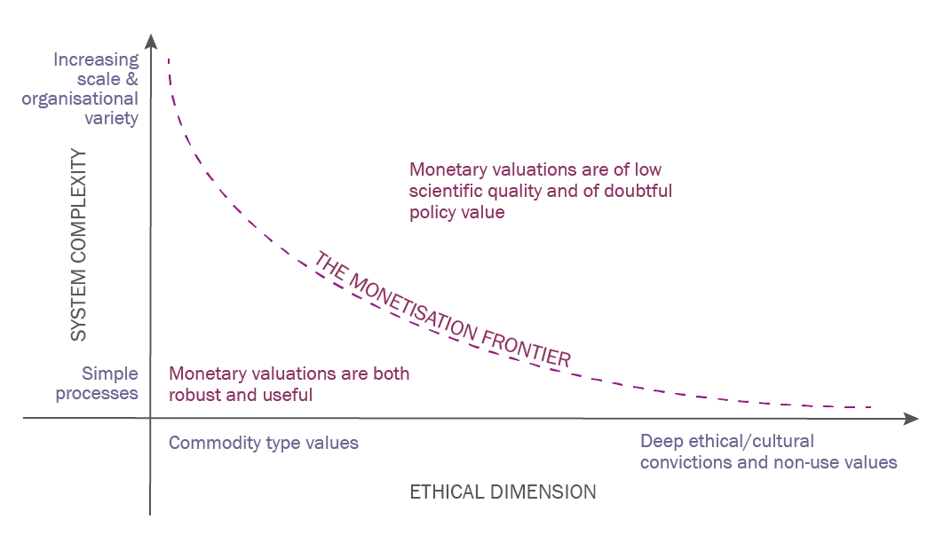 To boldly go...exploring the Monetisation Frontier